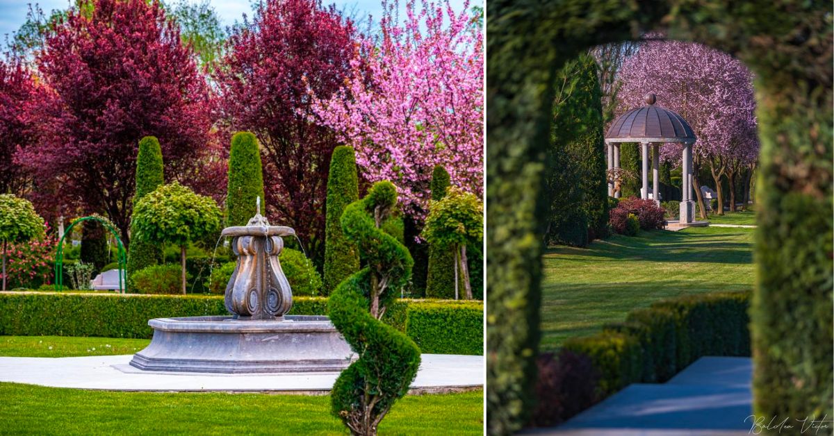 Grădinile lui Zoe (Banpotoc): Ghid Complet, Program, Prețuri & Fotografii